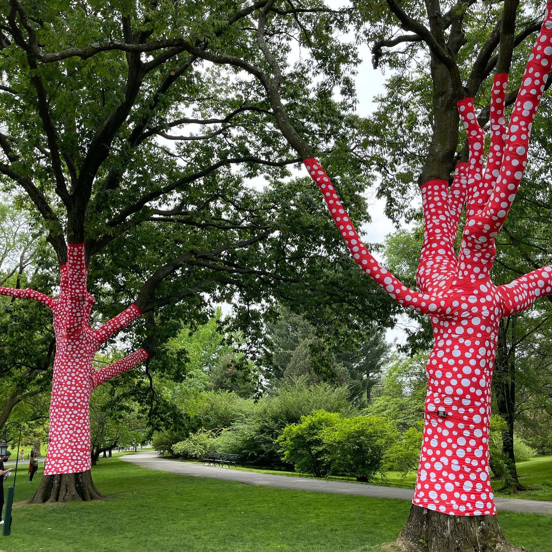 Parametro — _204-min